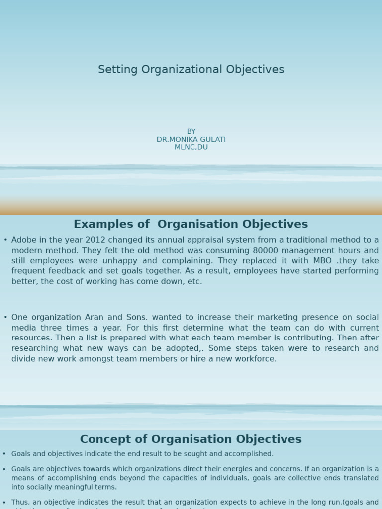 11.E-Setting Organizational Objectives | PDF | Goal | Business