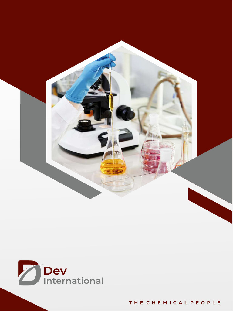 Dev International Broucher | PDF