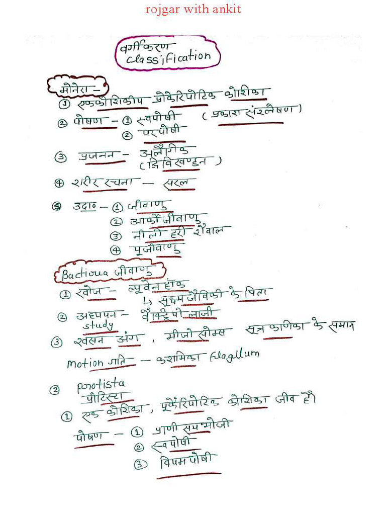 002) Biology by Bhawna Mam Classification 3 | PDF