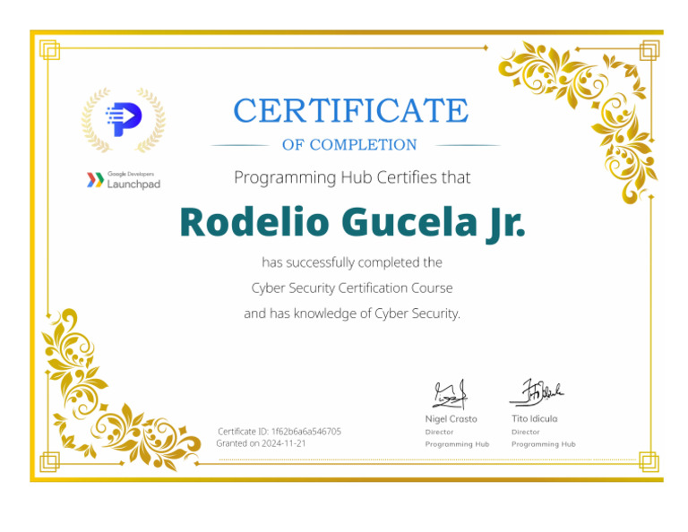 Certificate of Completion_Cyber Security 2024 | PDF