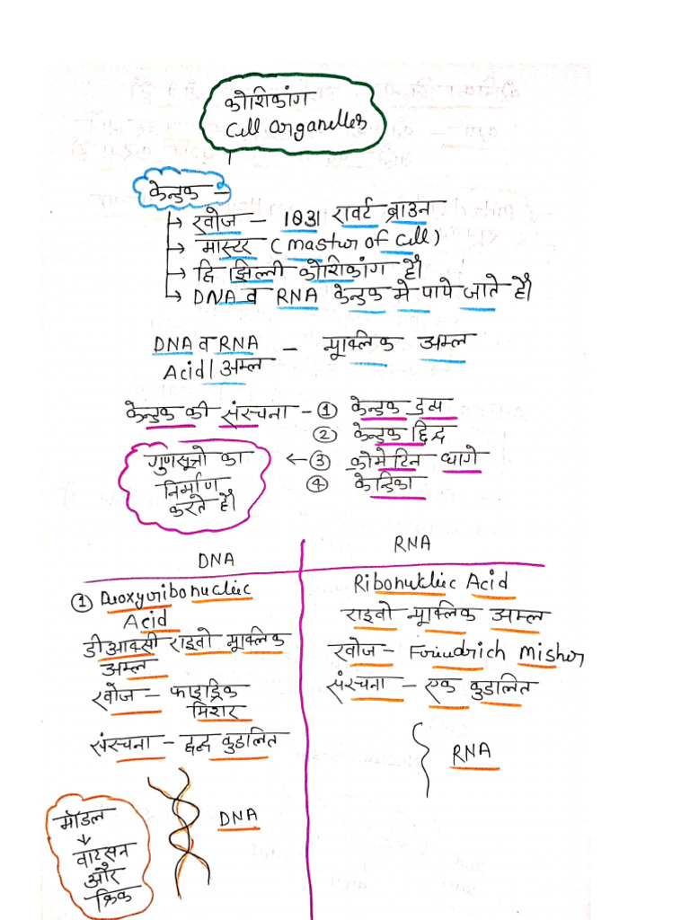 002 Technical Biology by Bhawna Ma'am Cell Organelles 2 | PDF