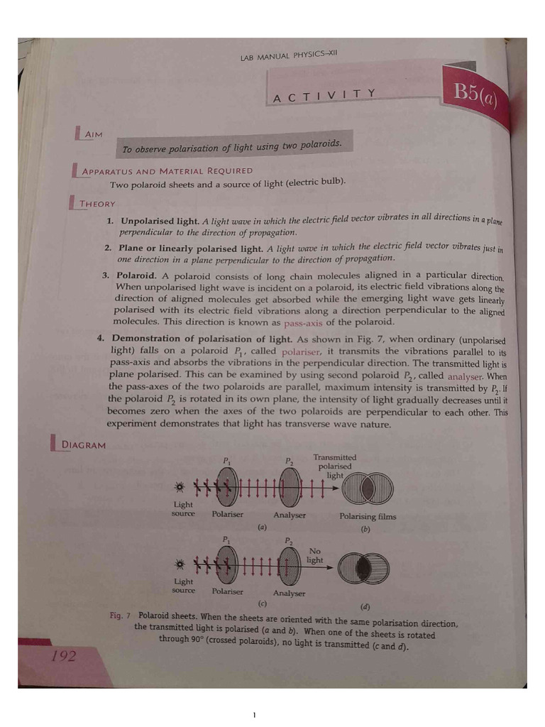 Activity - 5A of Maths Cls 12 Cbse | PDF