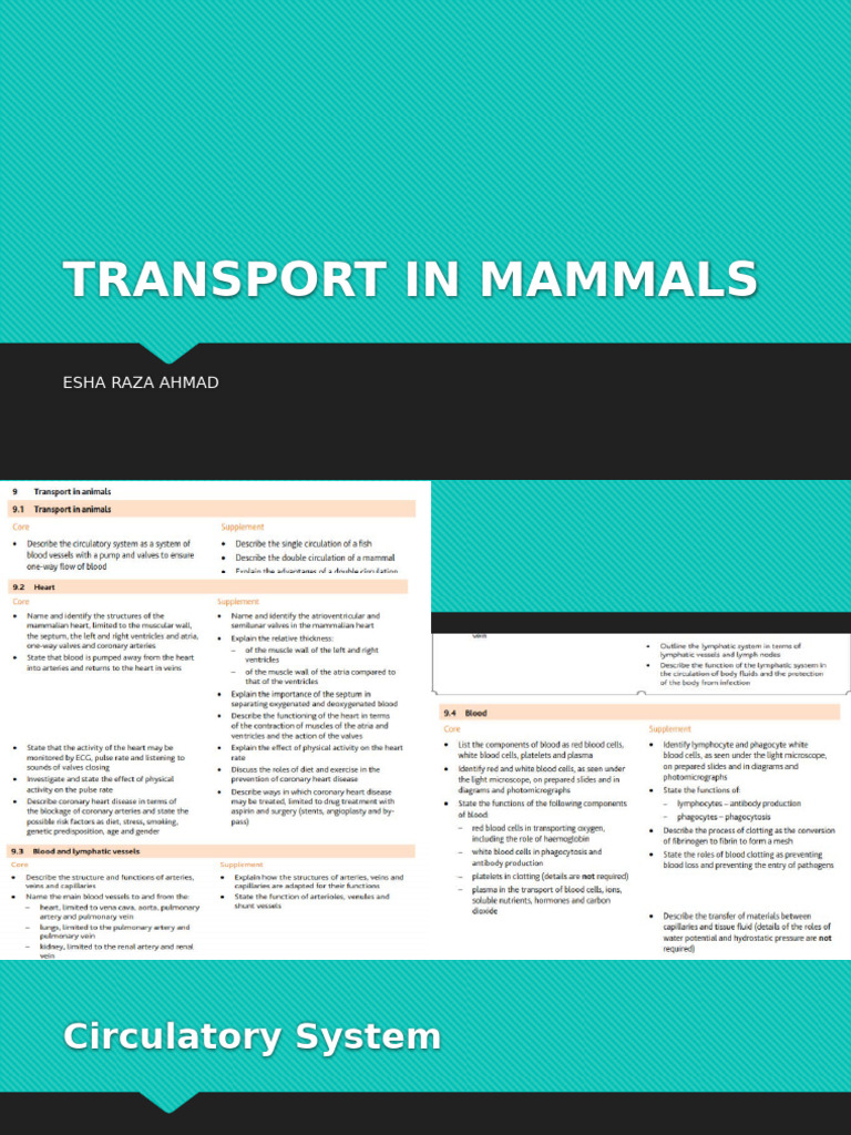 Transport in Mammals | PDF | Heart | Ventricle (Heart)