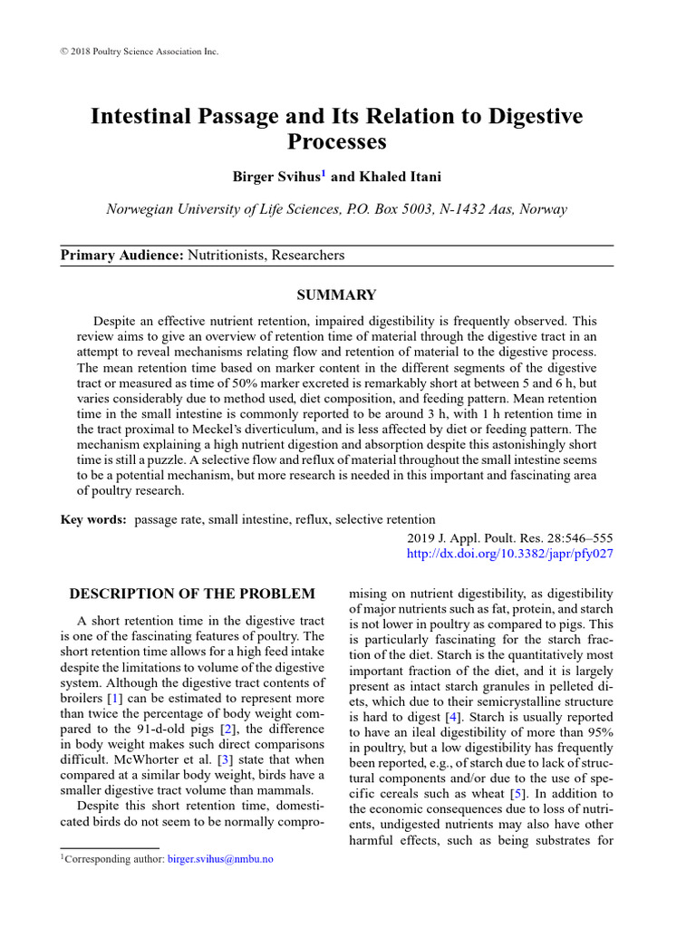 Intestinal Passage and Its Relation To Digestive | PDF | Small ...