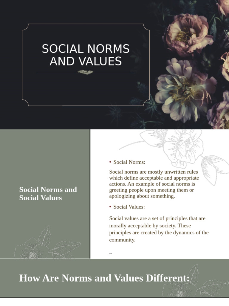 Social Norms and Values | PDF | Morality | Behavioural Sciences