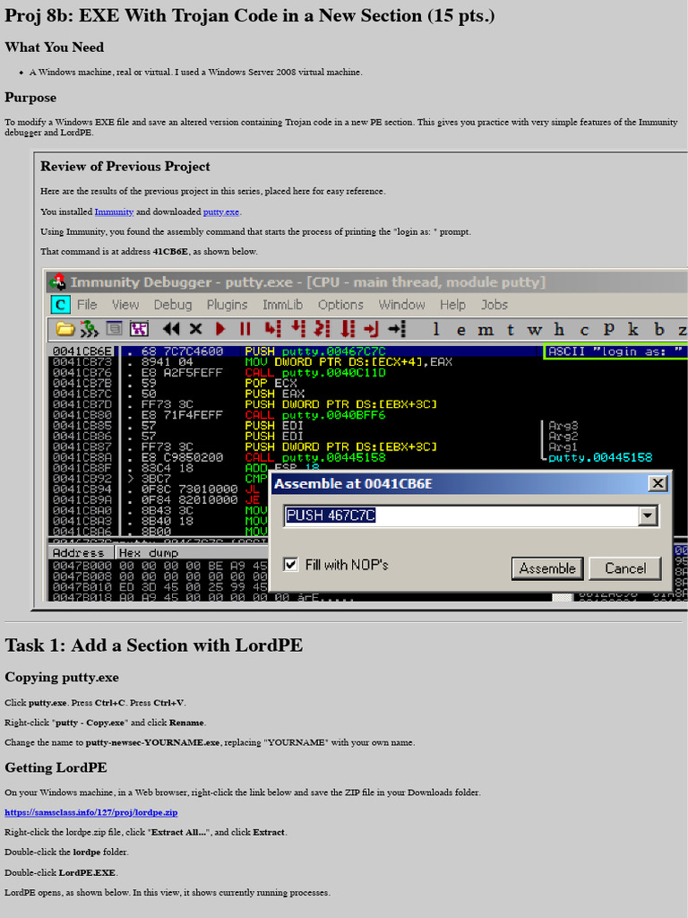Lab 19.2 EXE With Trojan Code in a New Section | PDF | Microsoft ...