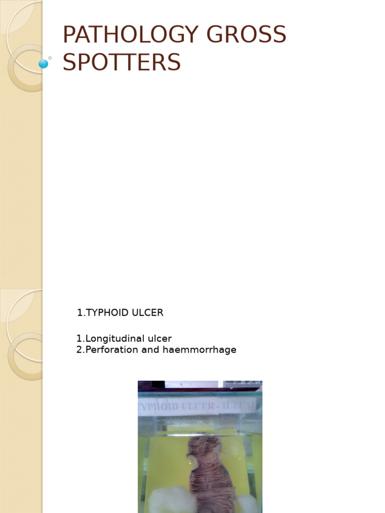 Pathology Gross | PDF | Medical Specialties | Diseases And Disorders