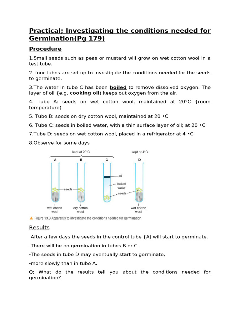 Edexcel Germination of Seeds Practical | PDF