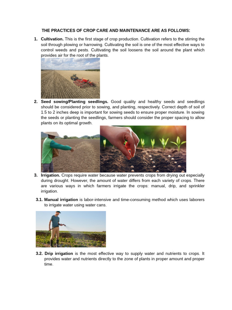 The Practices of Crop Care and Maintenance Are As Follows | PDF ...