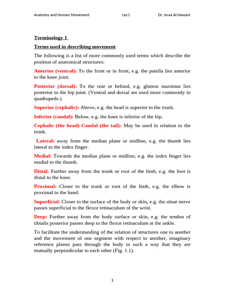 The Following is a List of More Commonly Used Terms Which Describe the ...