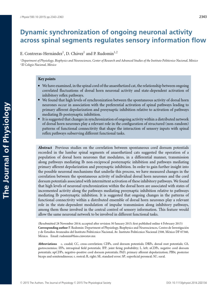 Dynamic Synchronization Of Ongoing Neuronal Activity Across Pdf