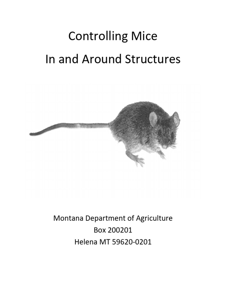 ControllingMice InandAroundStructures | PDF | Mouse
