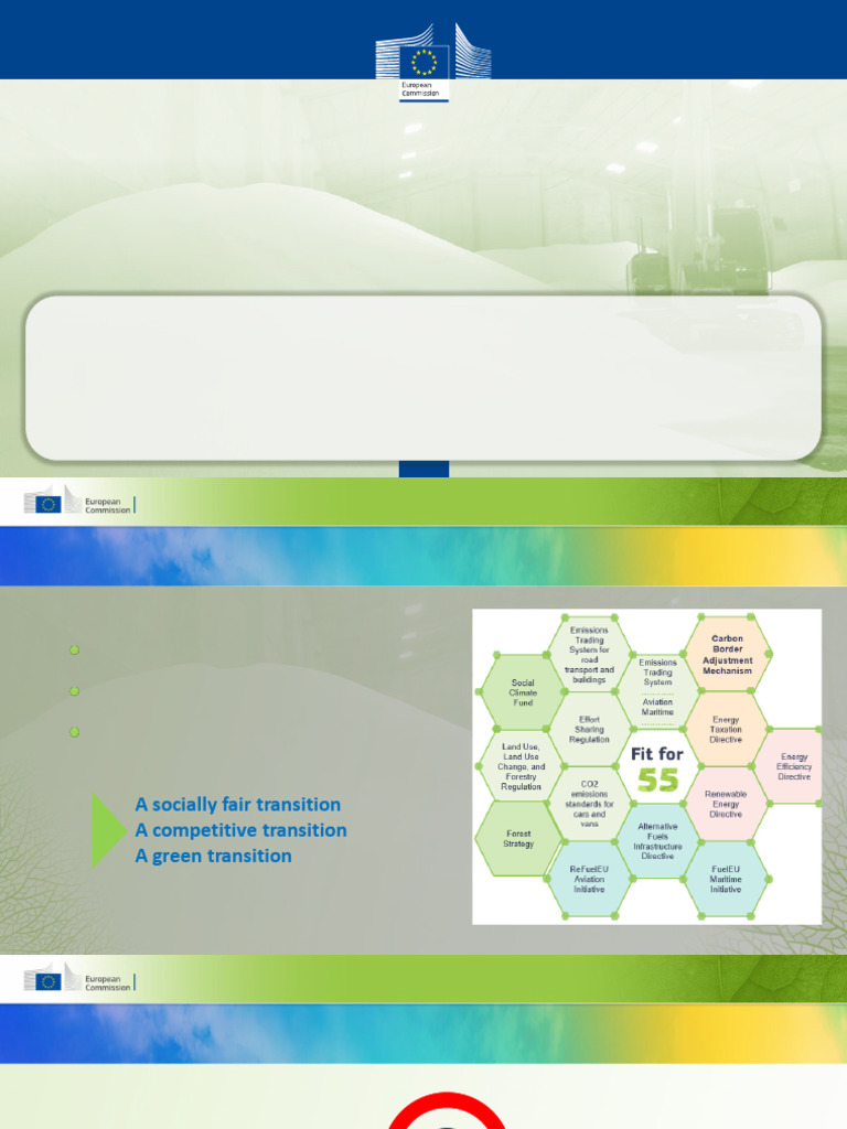 2024 02 11egypt - CBAM Keynote Speech-Final | PDF | Climate Change | Economies