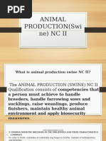 Q1 Animal Production (Swine) NC II 9-12 - Module 2 | PDF | Pig ...