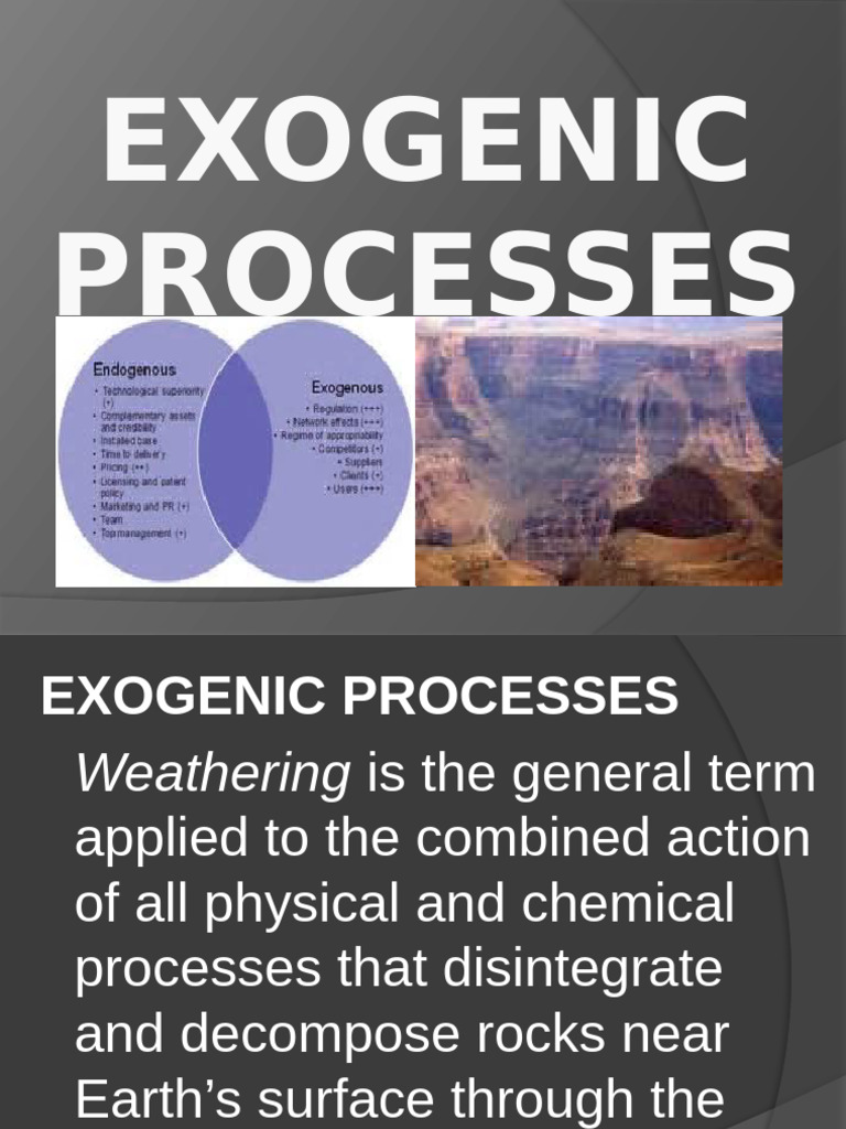 Exogenic Processes 2 | PDF | Weathering | Erosion