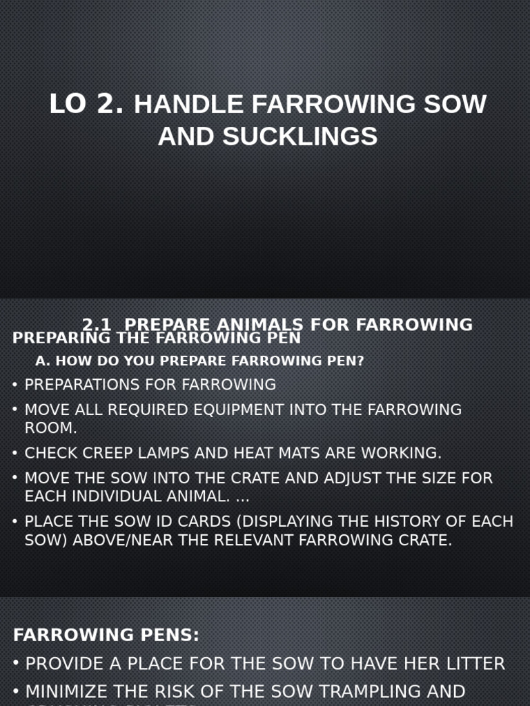 Lo 2. Handle Farrowing Sows and Sucklings | PDF | Pig | Livestock