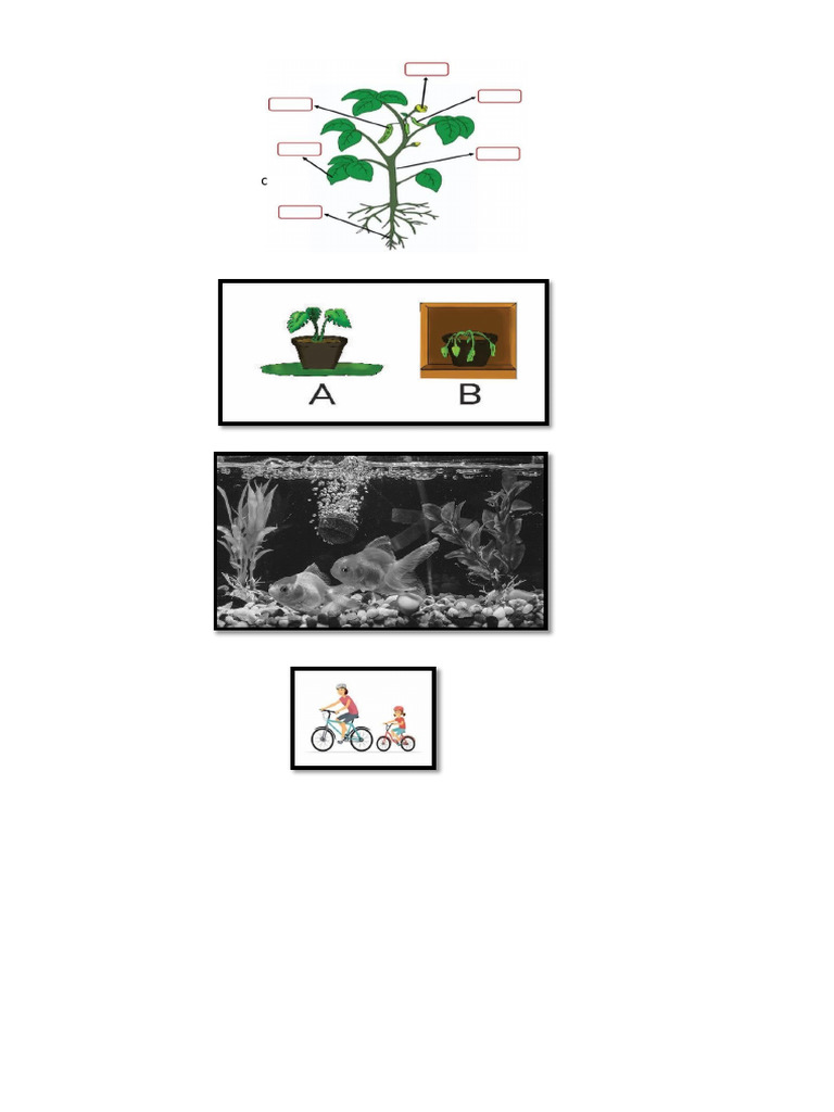 Full Gambar Mentahan | PDF