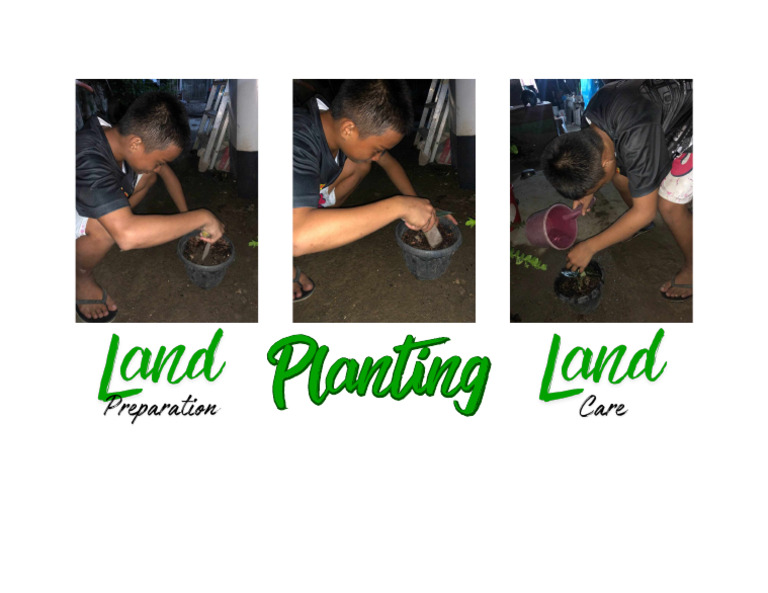 Essential Guide to Planting Techniques | PDF