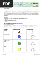 Paper DNA Model Building Guide | PDF | Base Pair | Dna Replication