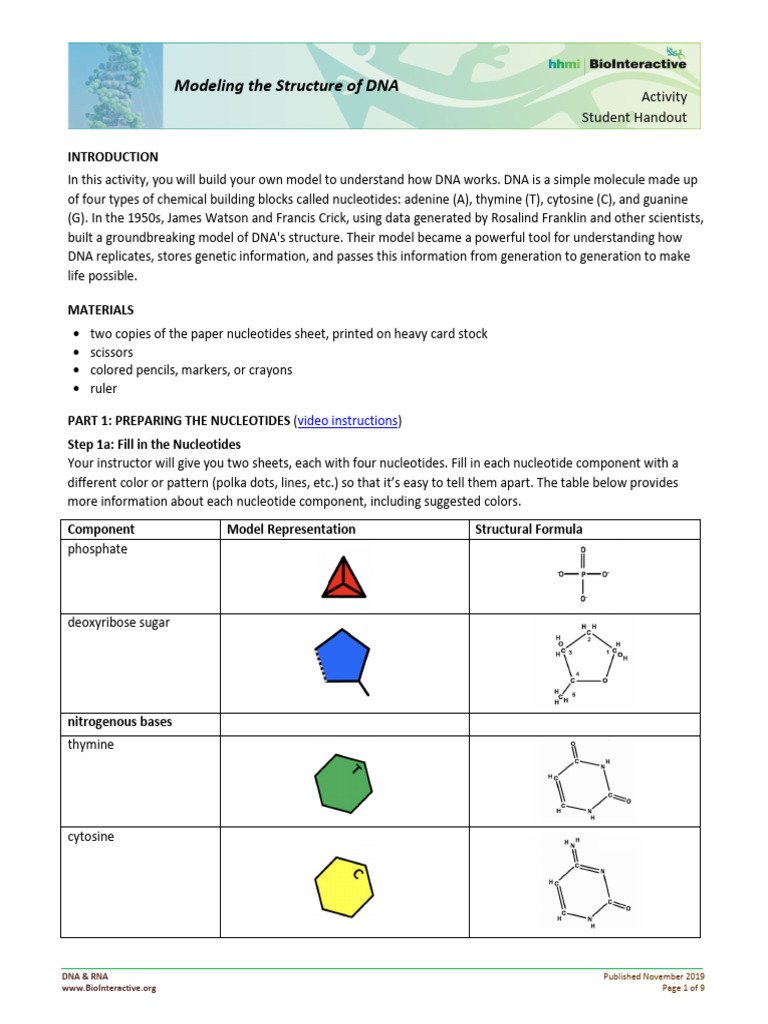 httpswww.biointeractive.orgsitesdefaultfilesmediafile2019-11DNAModel ...