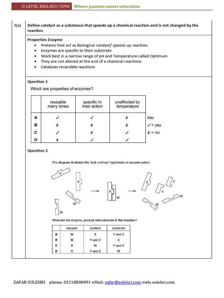 Biology Enzymes Notes | PDF | Active Site | Enzyme