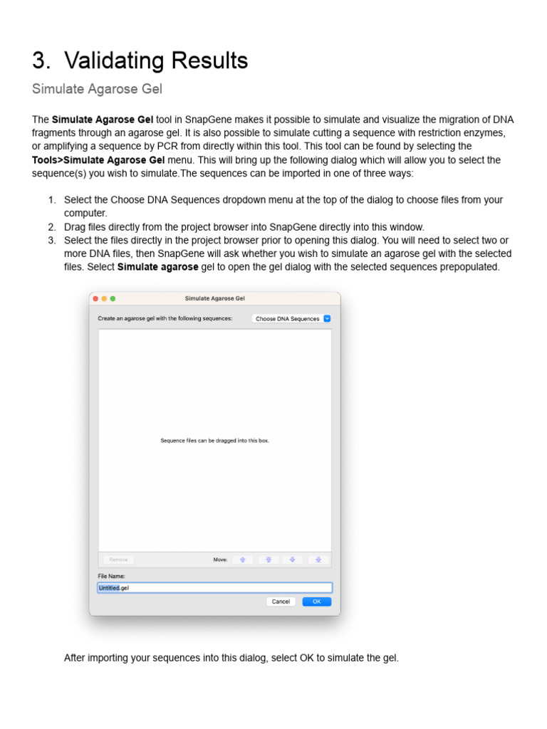 Simulating Agarose Gel in SnapGene | PDF | Gel Electrophoresis | Primer ...