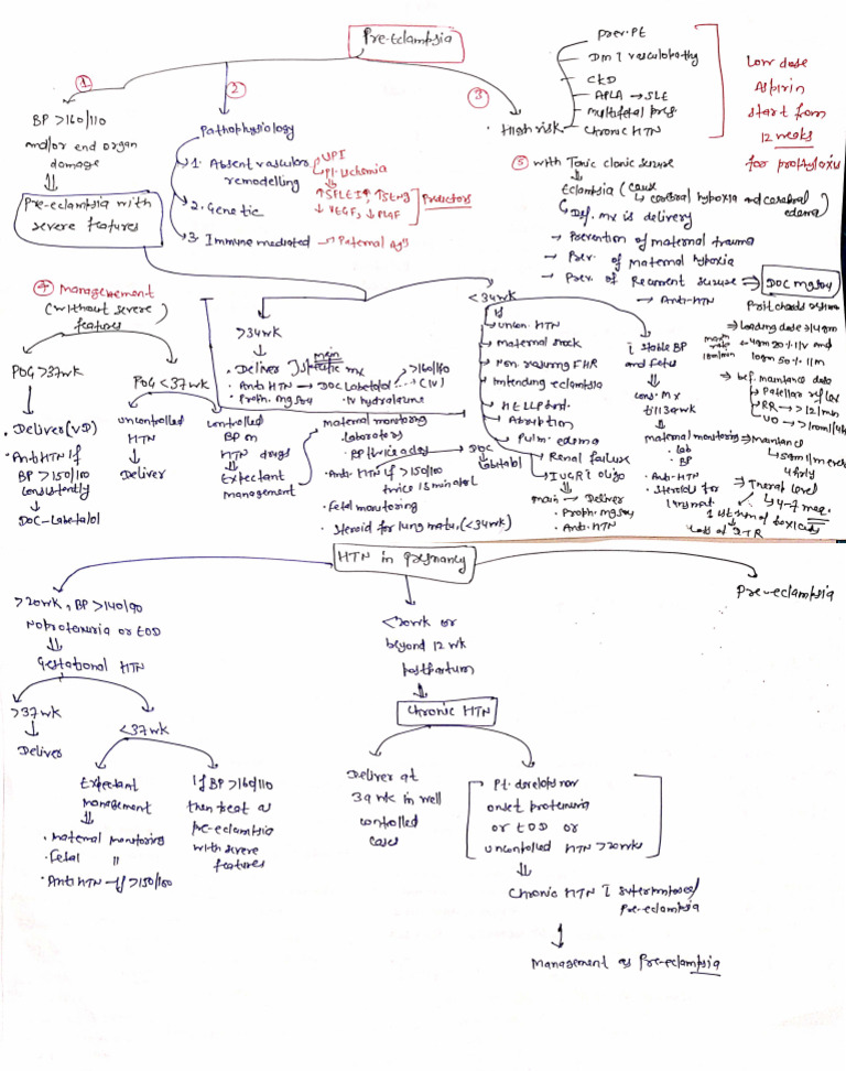 Mind Mapping For Hypertensive Disorders of Pregnancy | PDF
