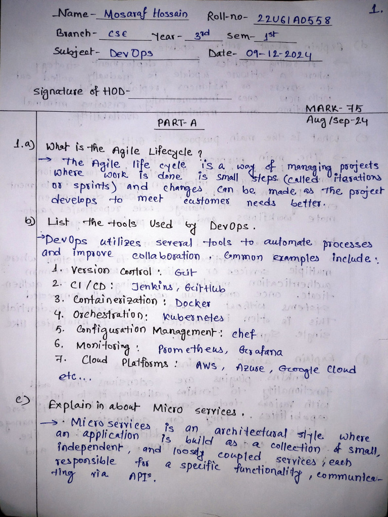 DevOps-2024 (Aug-Sep) | PDF