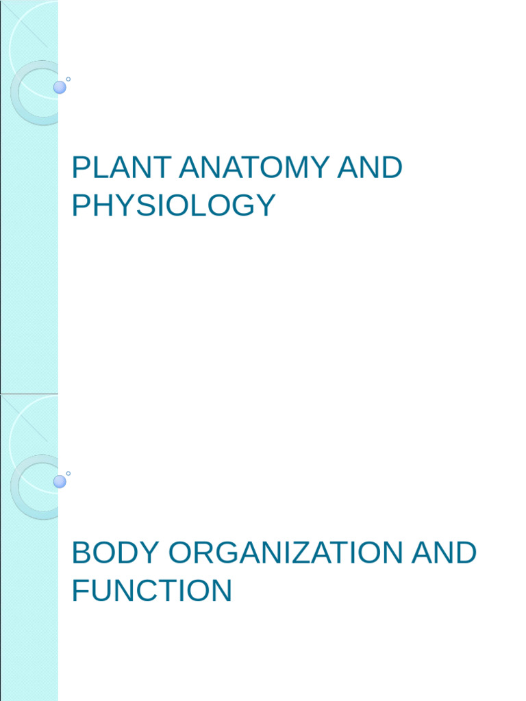 Plant Anatomy and Physiology.ppt | PDF | Plant Stem | Leaf