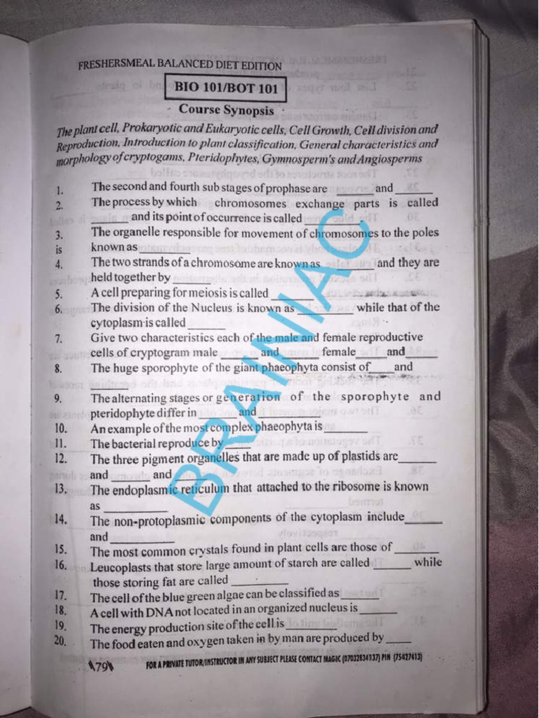 Freshers Meal-Compressed | PDF