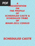 SC Caste List Bihar | PDF