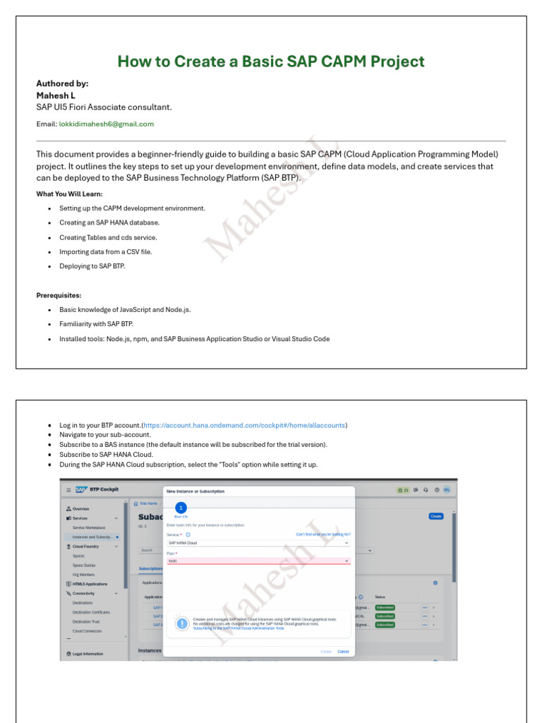 Sap Capm Steps PDF Guide ? 1735539629 | PDF | Databases | Cloud Computing