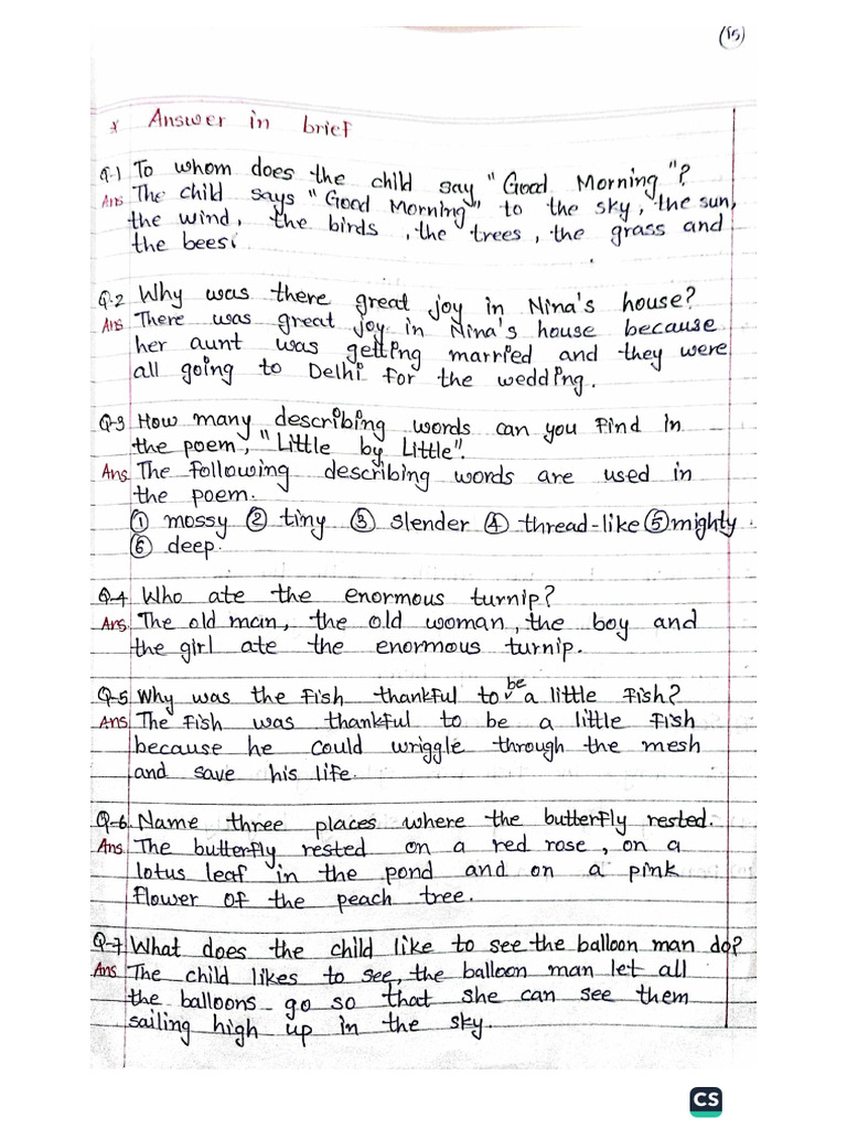 English Revision Answer in Brief | PDF