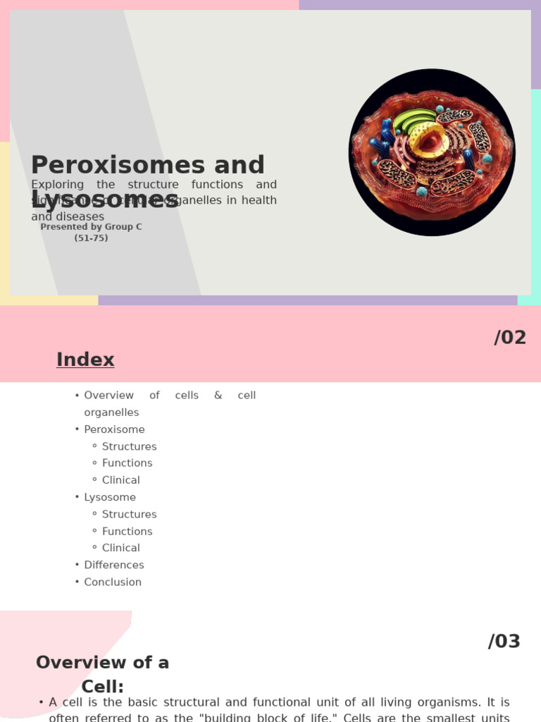 Presenation On Lysosome and Peroxisome | PDF | Lysosome | Cell (Biology)