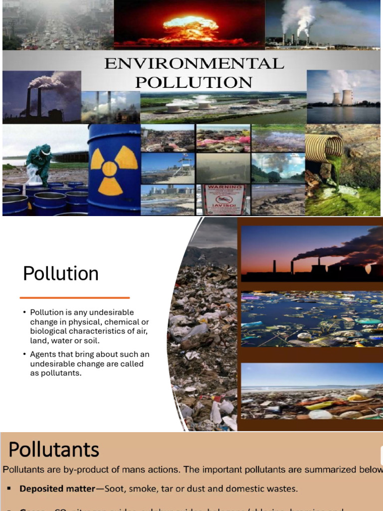 Environmental Pollution-1 | PDF | Air Pollution | Smog