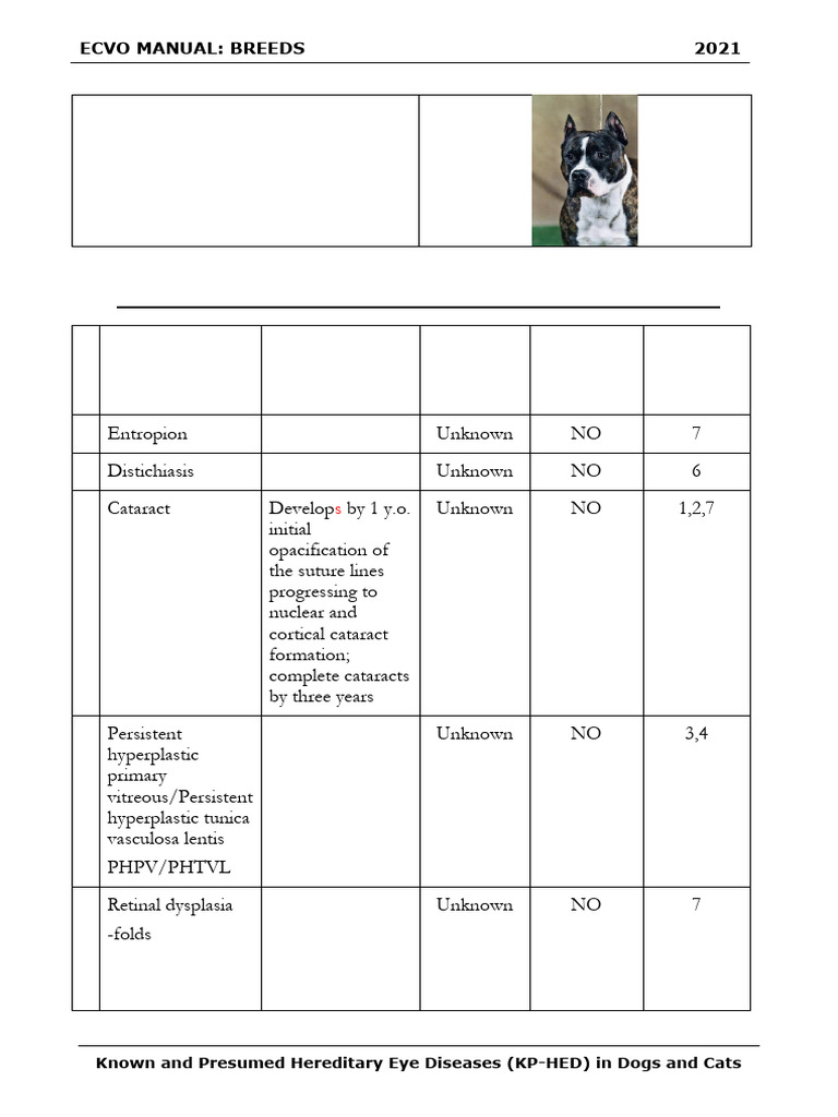 American Staffordshire Terrier: Ecvo Manual: Breeds 2021 | PDF | Diseases And Disorders ...