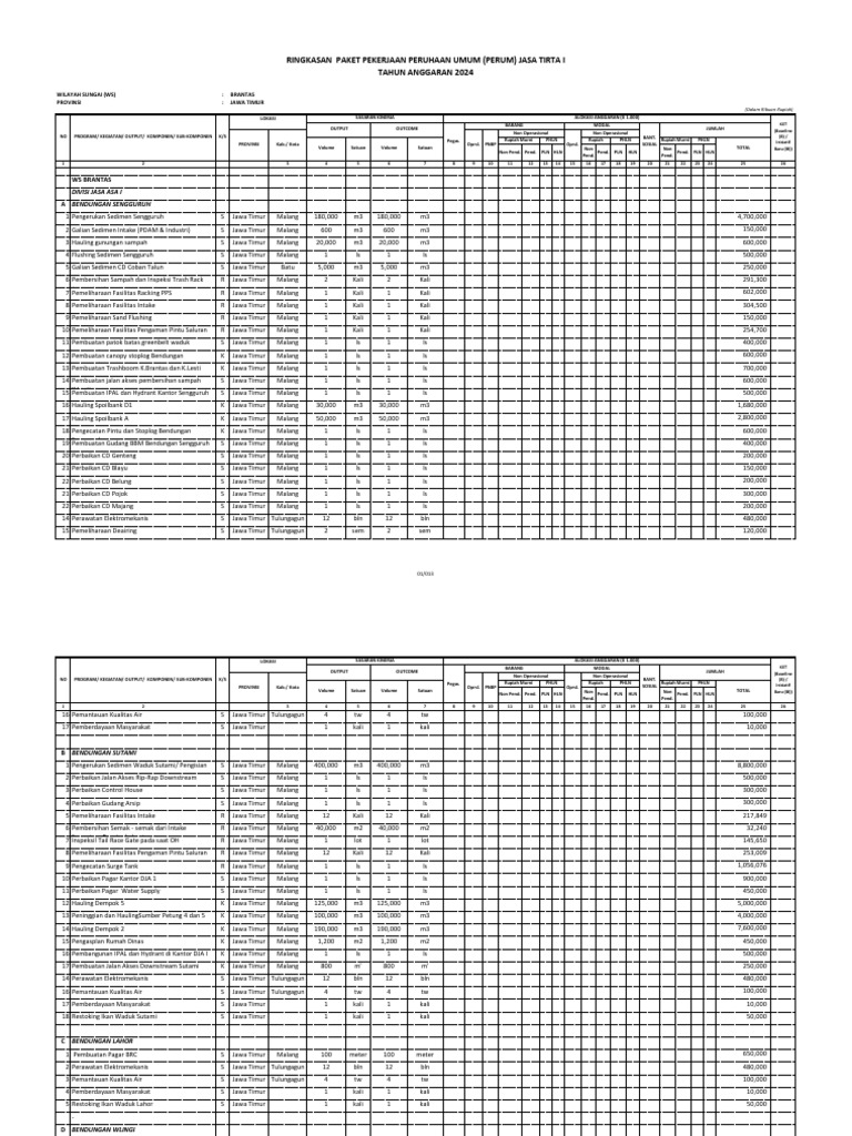 Kegiatan OP PJT I Tahun 2024 Form PUPR - WS BRANTAS | PDF
