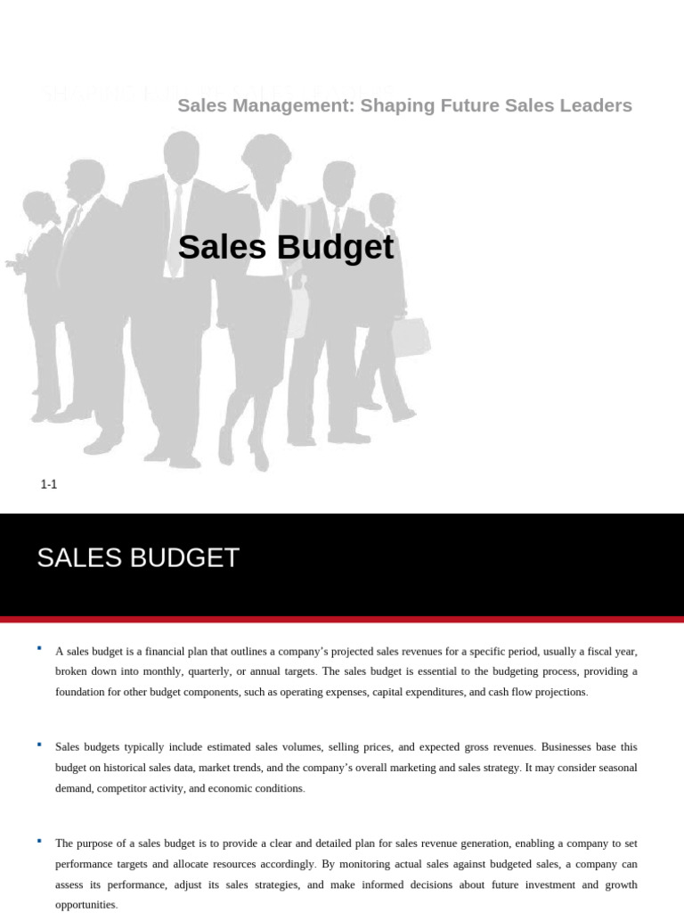 SALES BUDGET | PDF | Budget | Expense