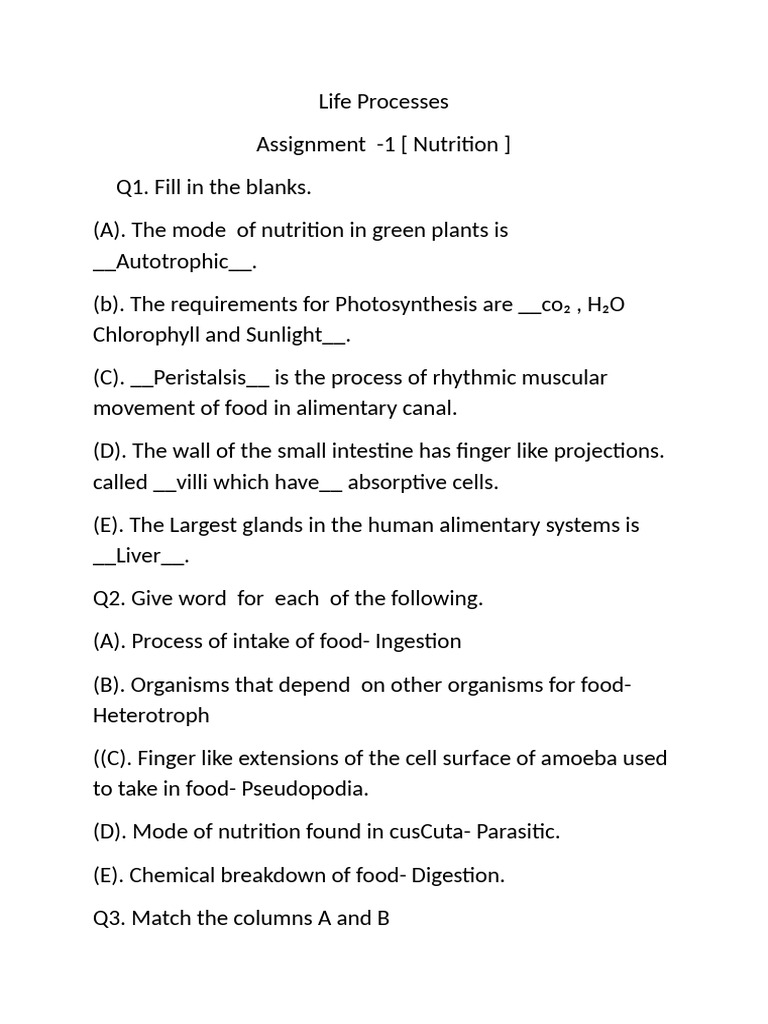 Bio Assignment-1 (Nutrition) | PDF | Digestion | Stomach