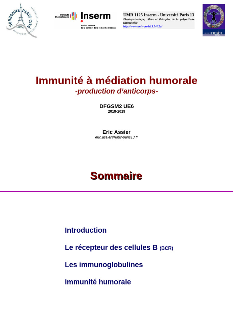 Immunité humorale et anticorps expliqués | PDF | Anticorps | Antigène