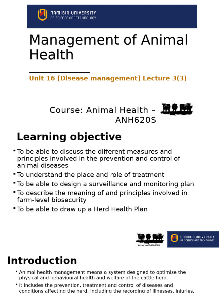 Animal Disease Management Strategies | PDF | Infection | Antimicrobial ...