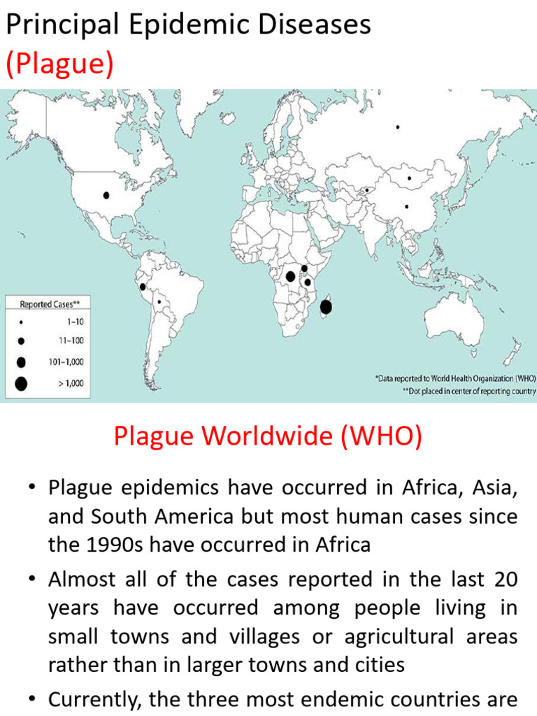 Plague | PDF | Plague (Disease) | Epidemiology