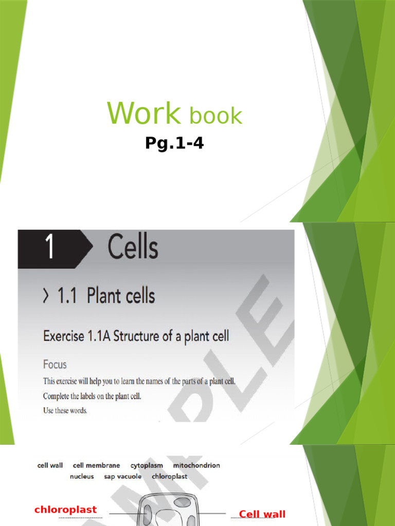 Week 1 Materials 1026390969 | PDF