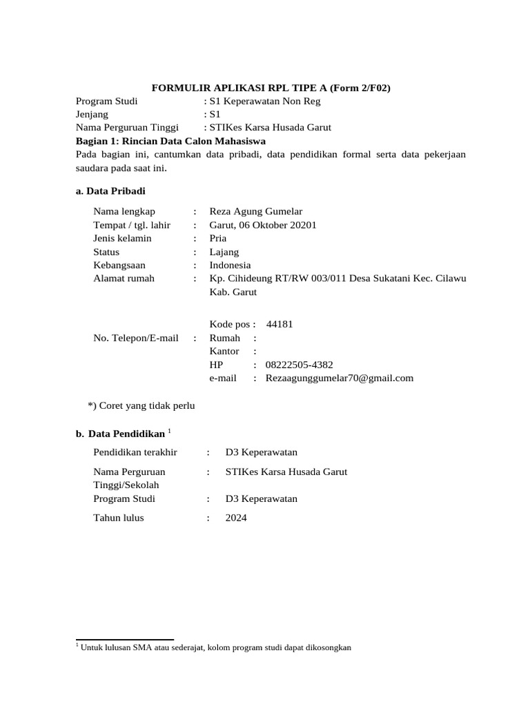 Formulir Aplikasi RPL Keperawatan S1 | PDF
