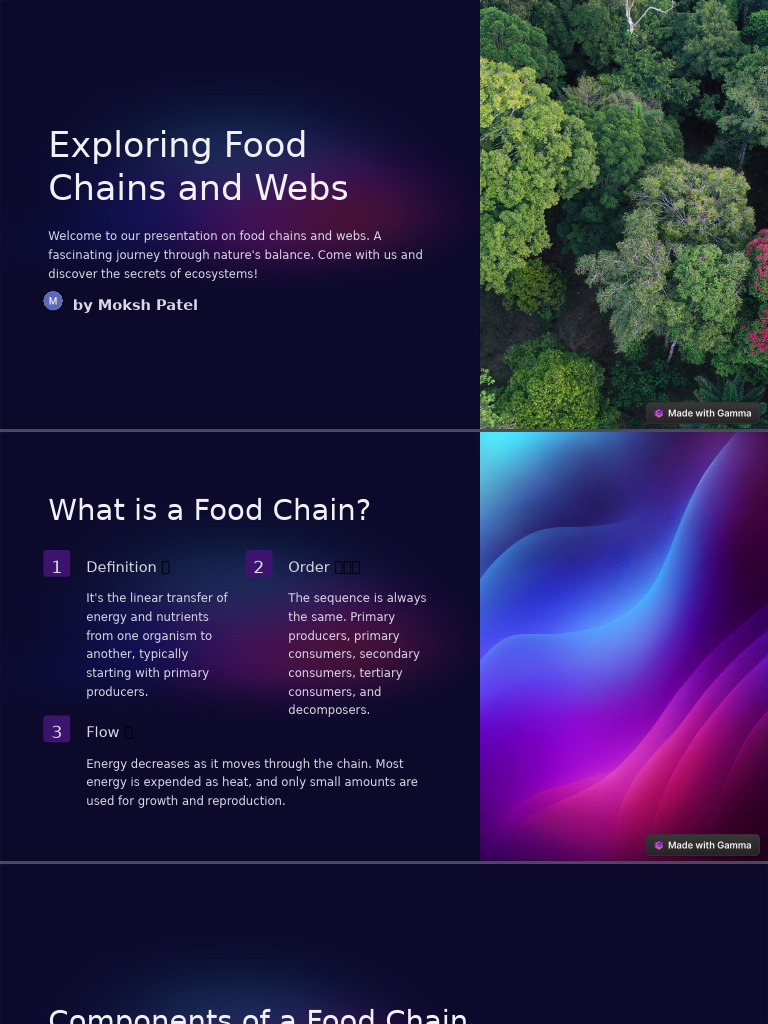Exploring Food Chains and Webs | PDF | Food Web | Foods