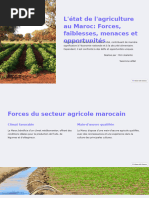 Plan Maroc Vert : Enjeux et Perspectives | PDF | Maroc | Agriculture