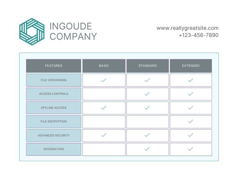 Ingoude Company: Basic Standard Extended Features | PDF