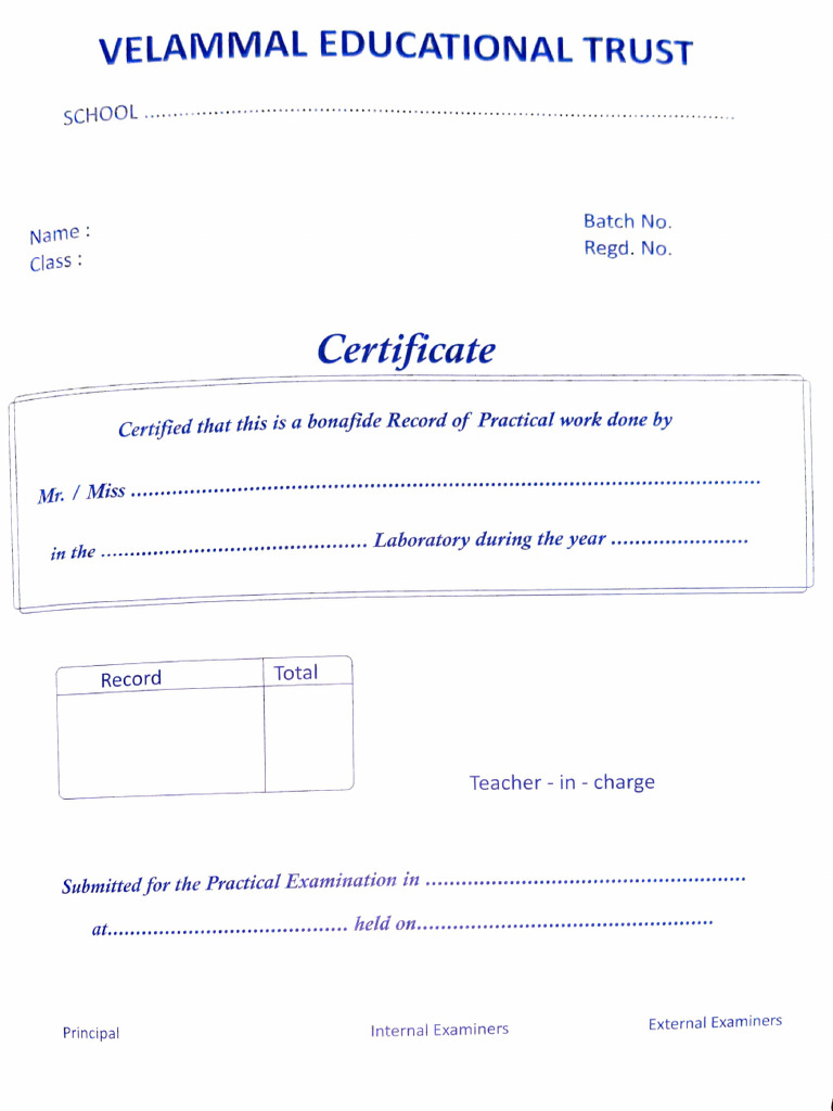 Practical Work Record Template | PDF