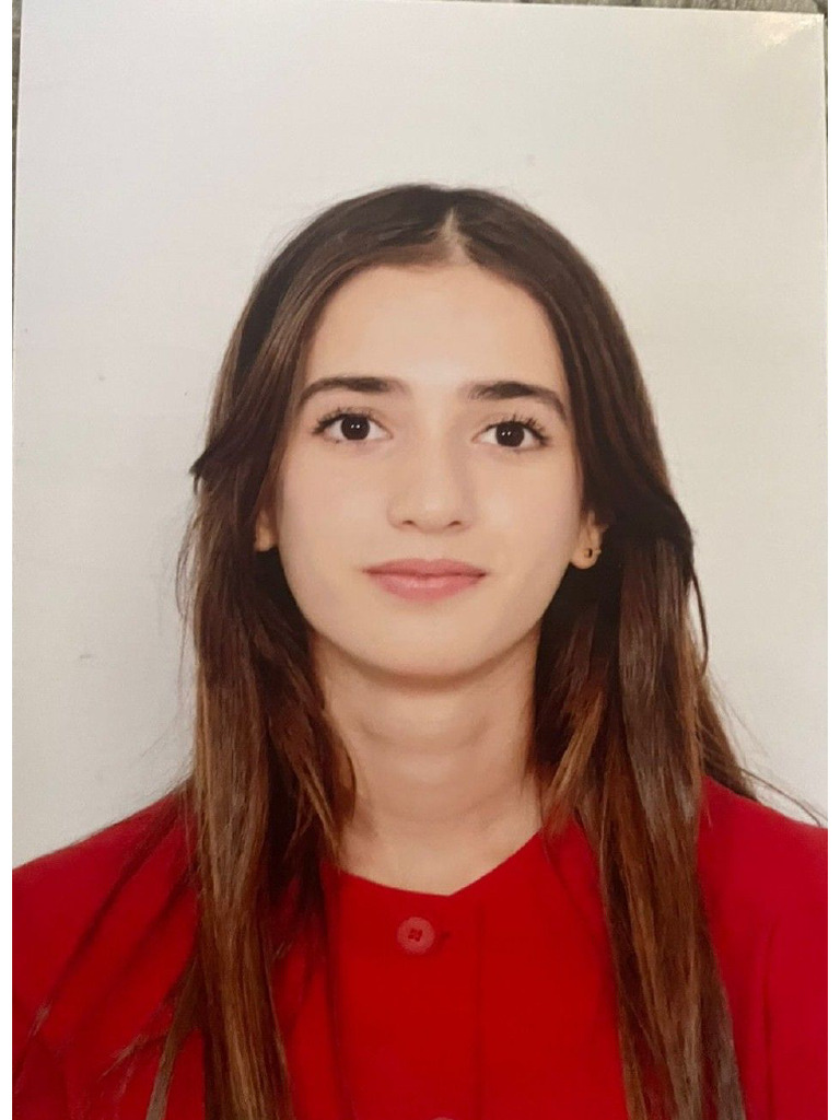 Nisrin Image | PDF