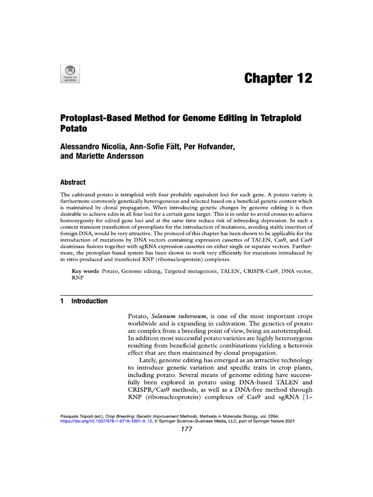 Protoplast GE Potato | PDF